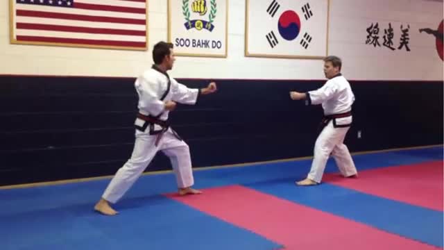 Subscribe to the Soo Bahk Do Institute, it's worth it!